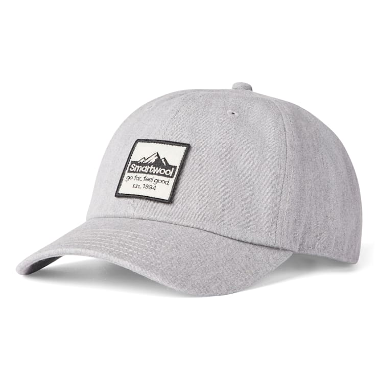 smartwool logo baseball cap